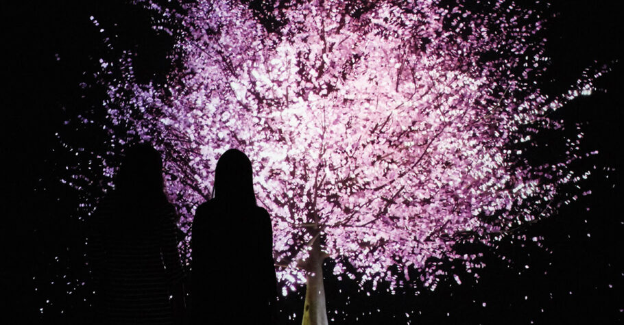 Frontpage » Trapholt